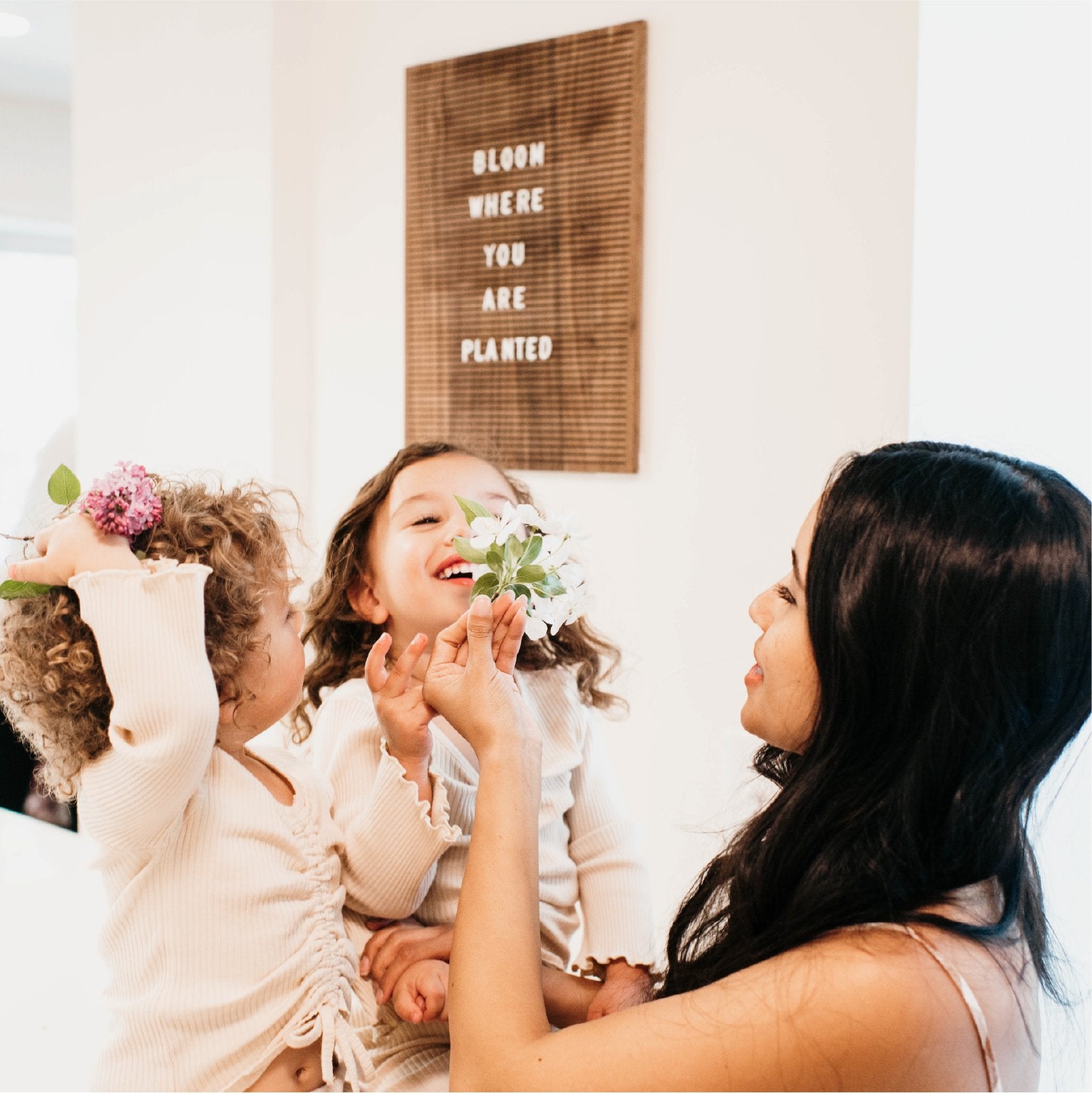 Collections – Stiles